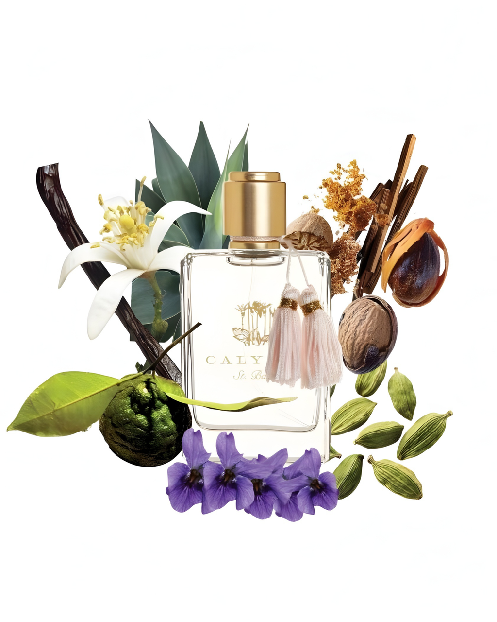 Casablanca Eau de Parfum – Calypso St Barth